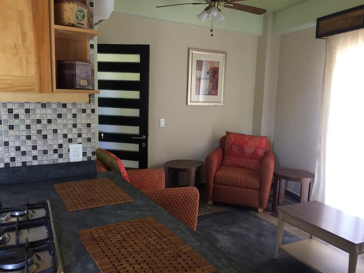 302 Condominio De Las Brisas - Puerto Vallarta