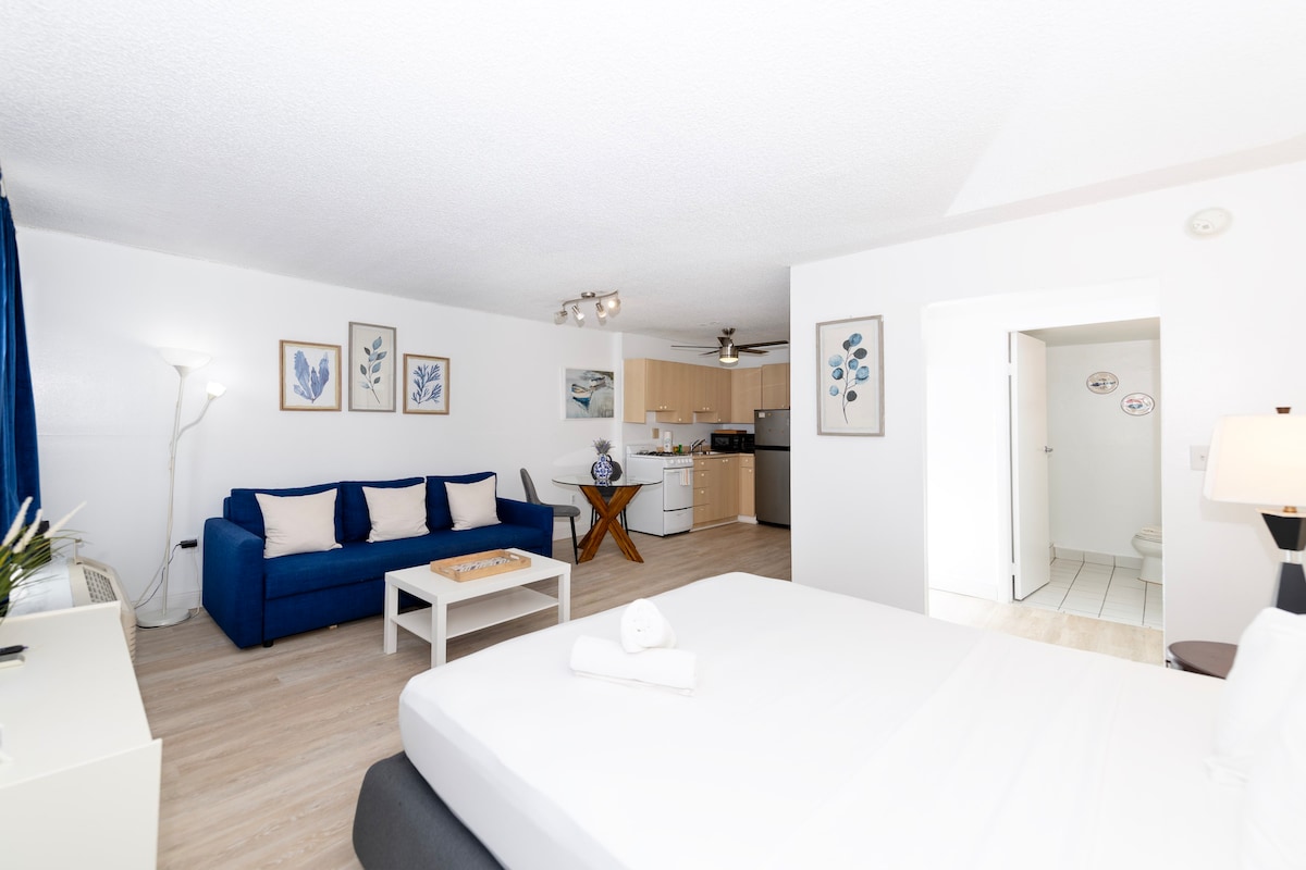 Contemporary Beach Studio - Apartments for Rent in Miami Beach, Florida ...