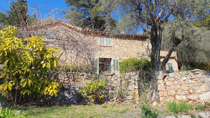 Mas 18ème / Oliveraie Vue Mer. - Grasse