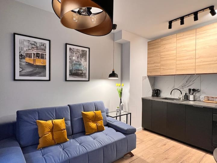 K10abc_very Big Apartment With 3 Baths - Katowice