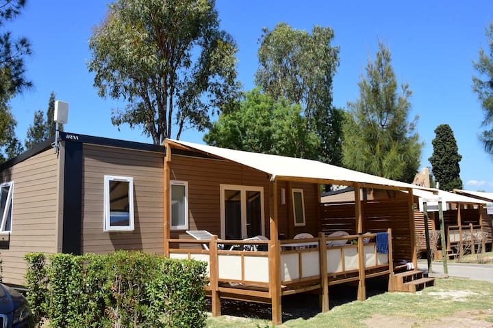 Texas Standard 6/8 Pers. Camping Les Palmiers 4* - Hyères