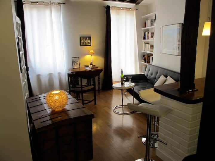 Gracious Penthouse/panthéon View - Paris