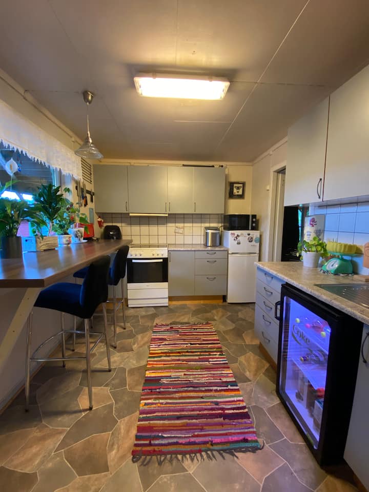 Kjellerleilighet I Notodden - Notodden