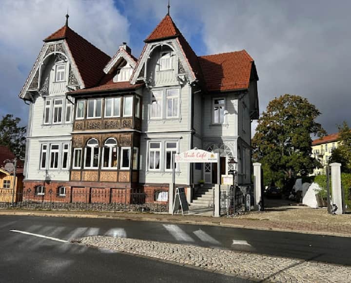 Unik Villa -2 Bedrooms Apart. Breakfast Halfboard - Harz