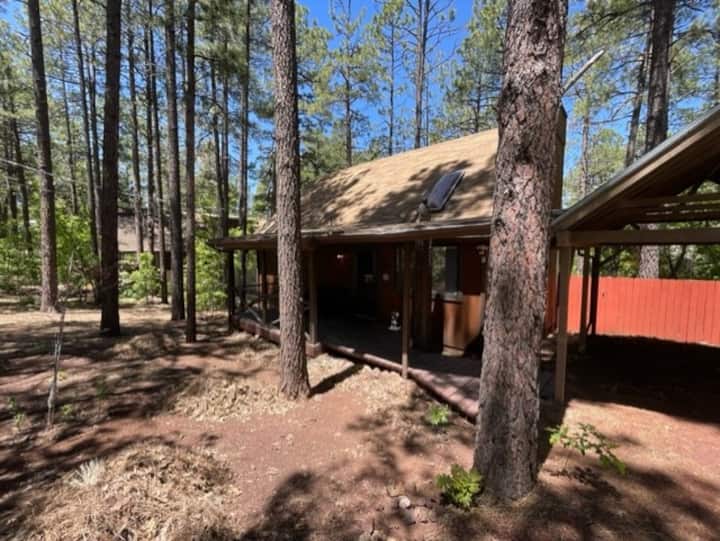 Cozy Cabin In Quiet Area! - パイントップ＝レイクサイド, AZ