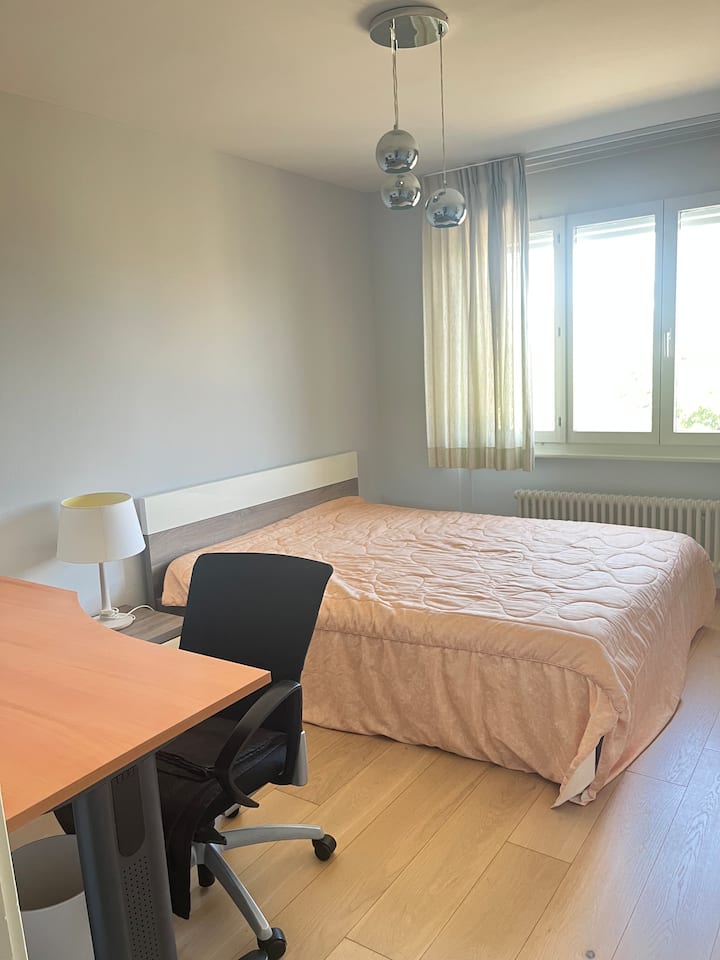 Appartement  20minutes De Genéve - Nyon
