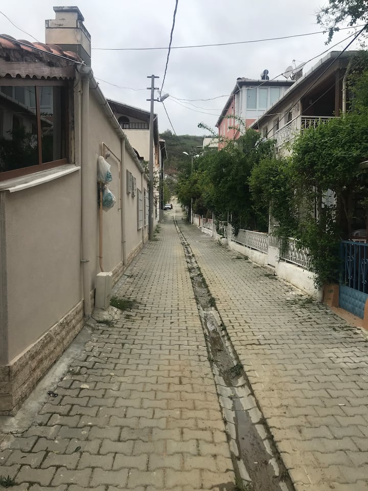 Kumbağ Evi - Kumbağ