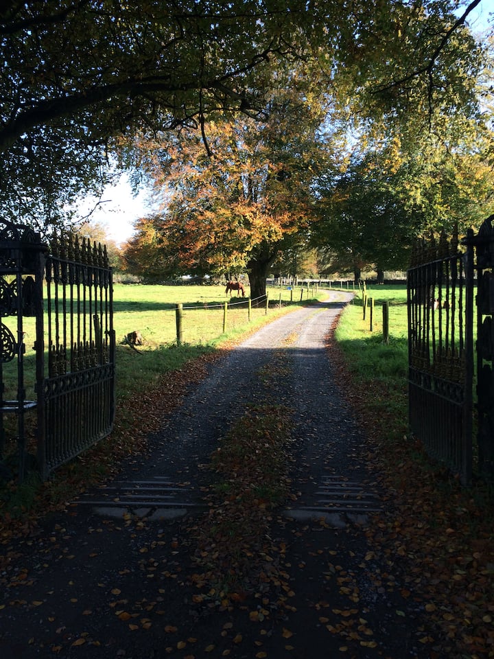 The Grainstore , Crumlin Park , Galway - Irlandia