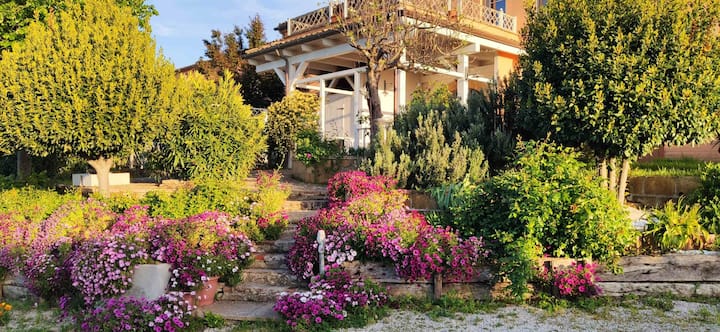 B&b Appartamentino Azzurro 2pax Con Homefood Extra - Recanati