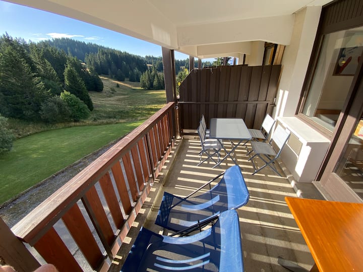 Studio Chaleureux Praz De Lys - Les Gets
