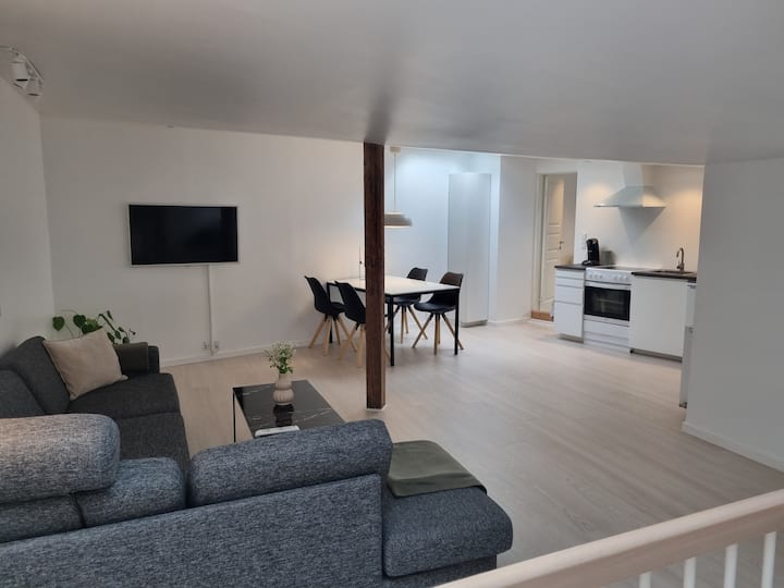 Hyggelig Lejlighed I Centrum - Dánia
