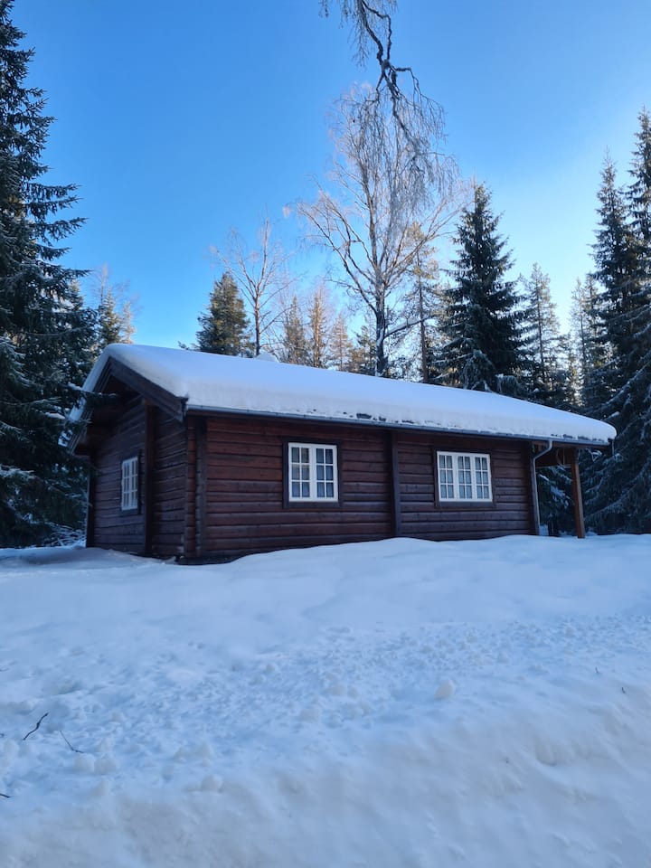 Hytteidyll Tett På Naturen - Trysil