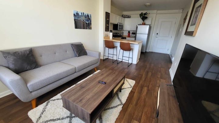 Heart Of Detroit Oasis! 2br Apt Walk To Everything - Detroit, MI
