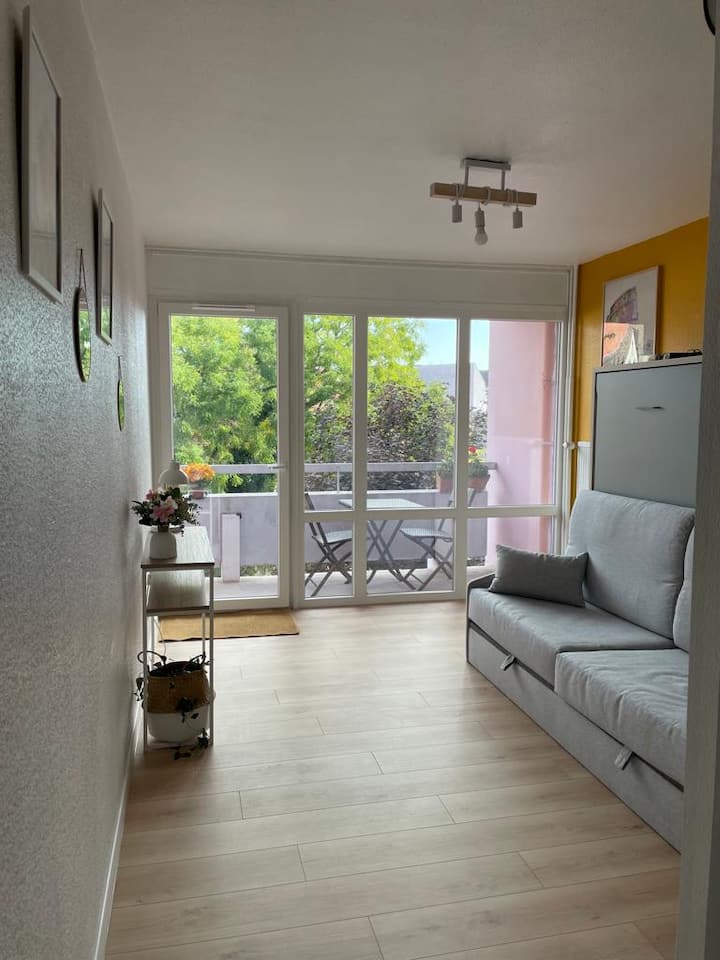 Studio Roma - Gare de Strasbourg Ville