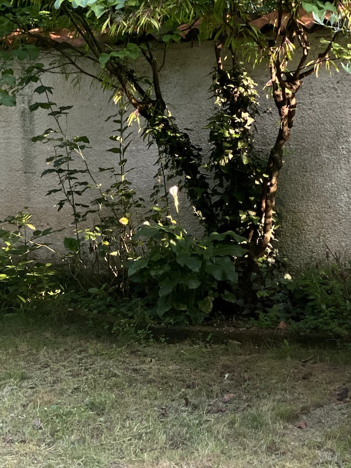 Quiet Home With Private Garden - Bassano del Grappa