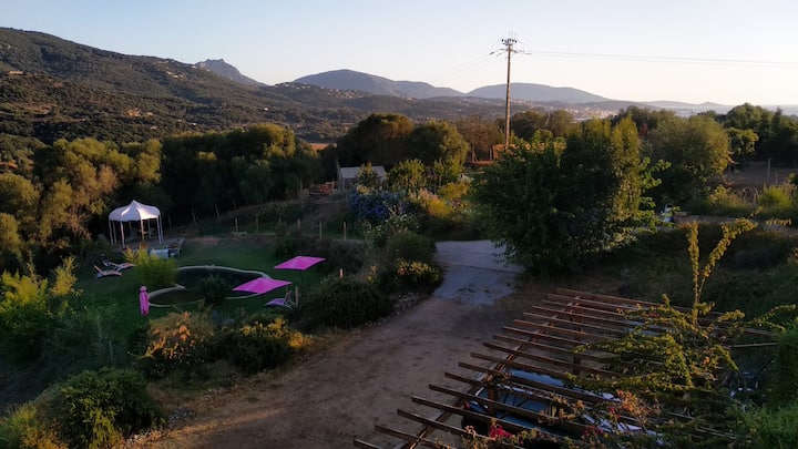Gîte Climatisé N° 3 Avec Piscine Loué à La Semaine - Corsica
