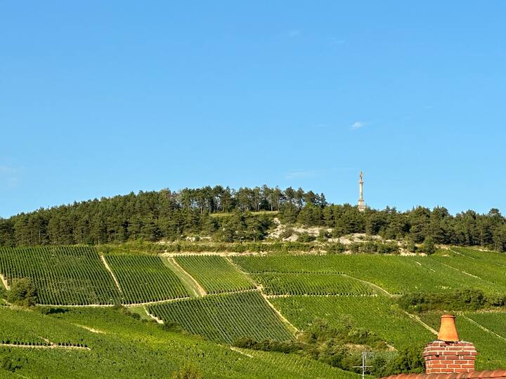 Les Dames Des Vignes - Bar-sur-Seine