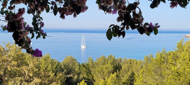 Appartement De Charme - Sausset-les-Pins