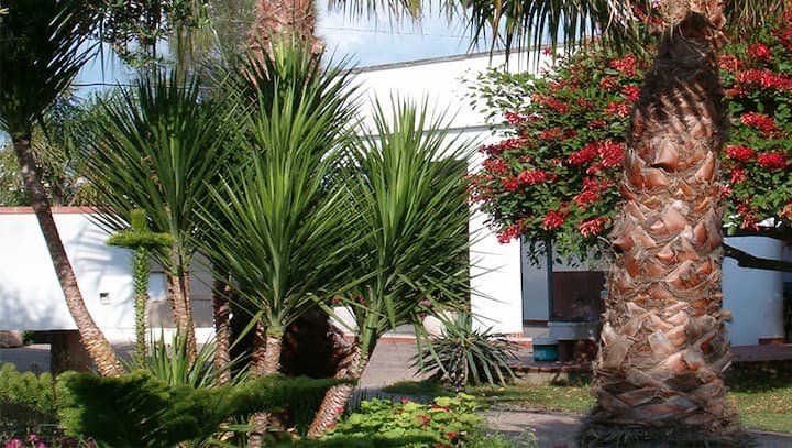 Villeriunite-villa Dalia - Gallipoli