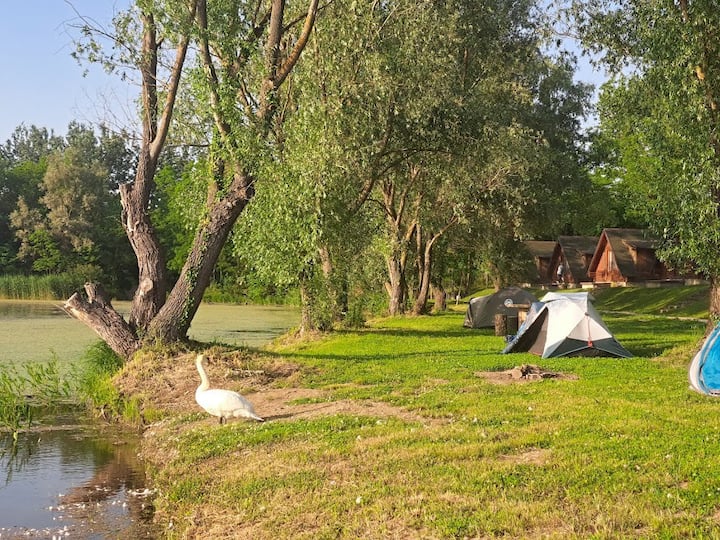 Camping Pitch For A Short Stay In Nature - Apatin