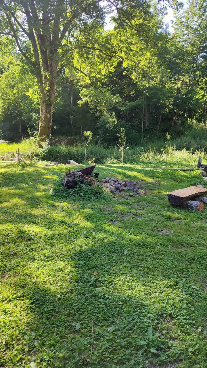 Naturnahes Camping Schwarzwald - Black Forest