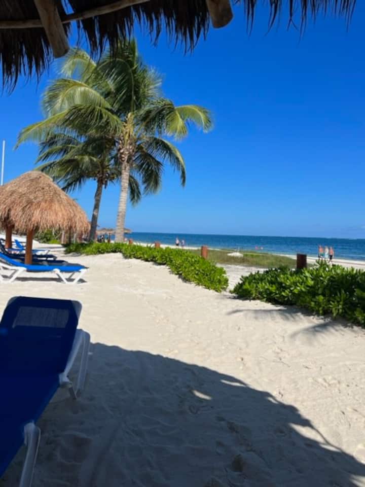 Puerto Morelos Caribbean Gem Near Cancun - Puerto Morelos