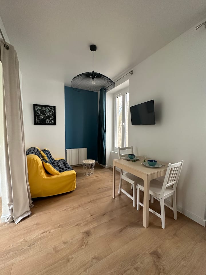 L'escale Tolstoï Joli T2 Rénové Lumineux Au Calme - Villeurbanne