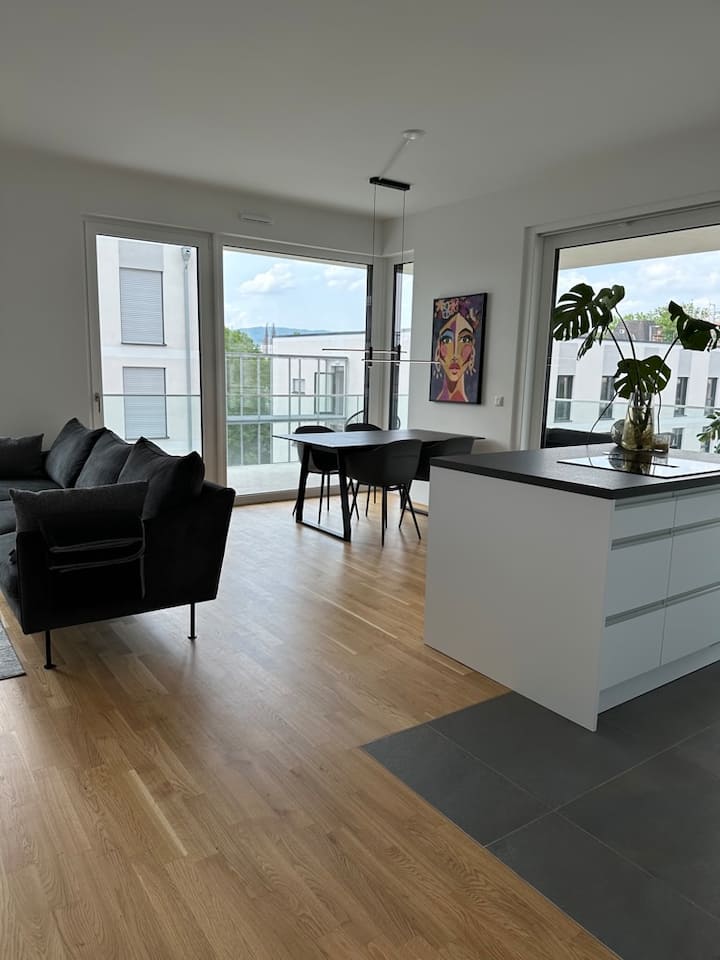 Executive Apartment + Terrace - ヴィースバーデン