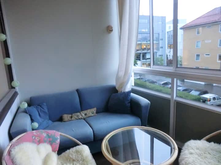 To-roms Leilighet På Elgeseter På 55 Kvadrat. - Trondheim