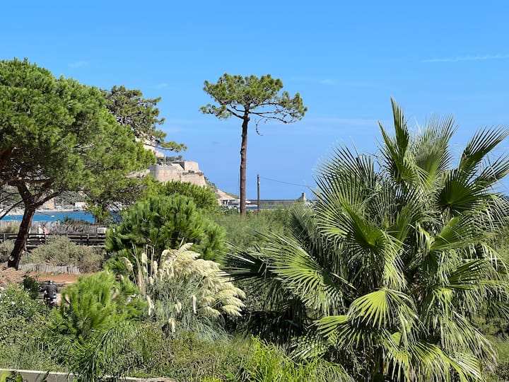 Très Bel Appartement Proche Plage - Calvi