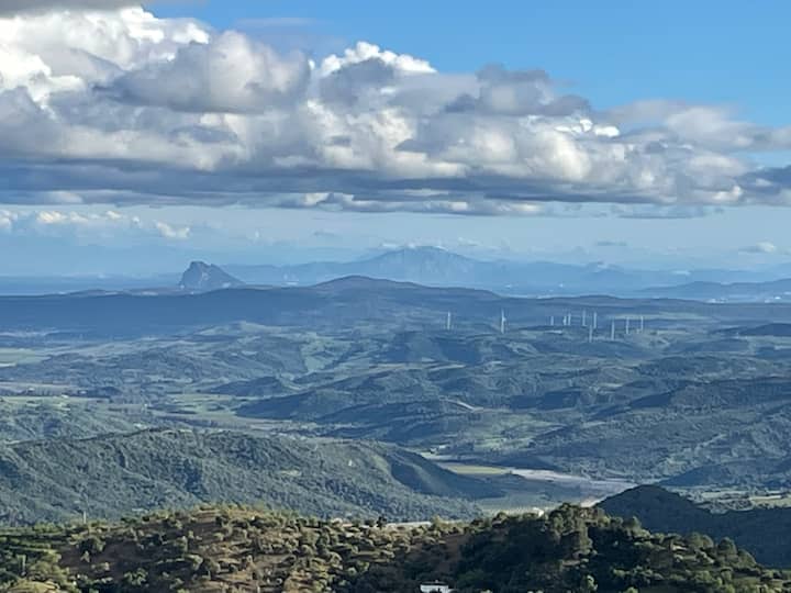 El Gecko Verde - Gaucín