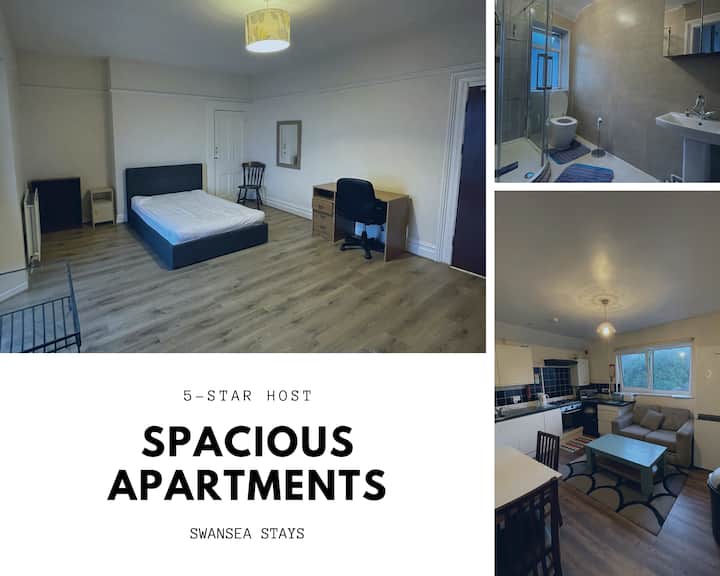 Luxury 3 Bedroom Apartment - Swansea