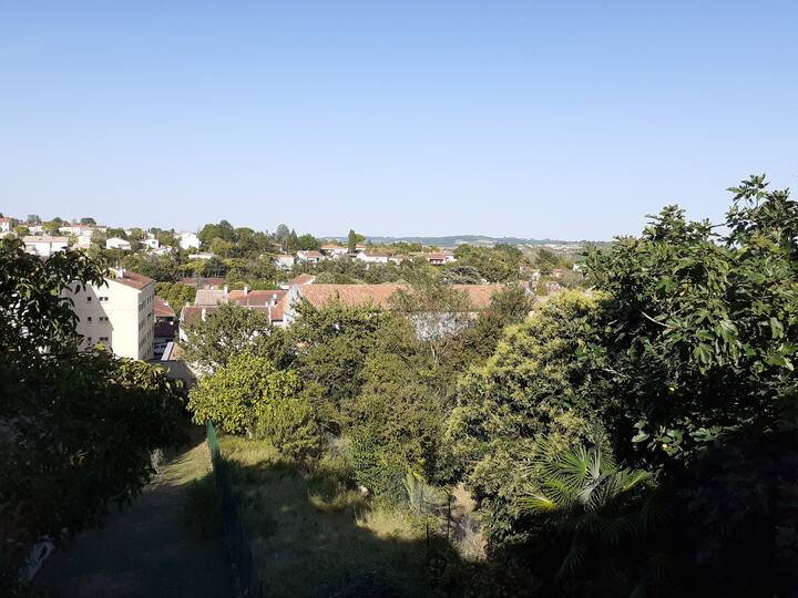 Logement Haute Ville D'auch - Auch