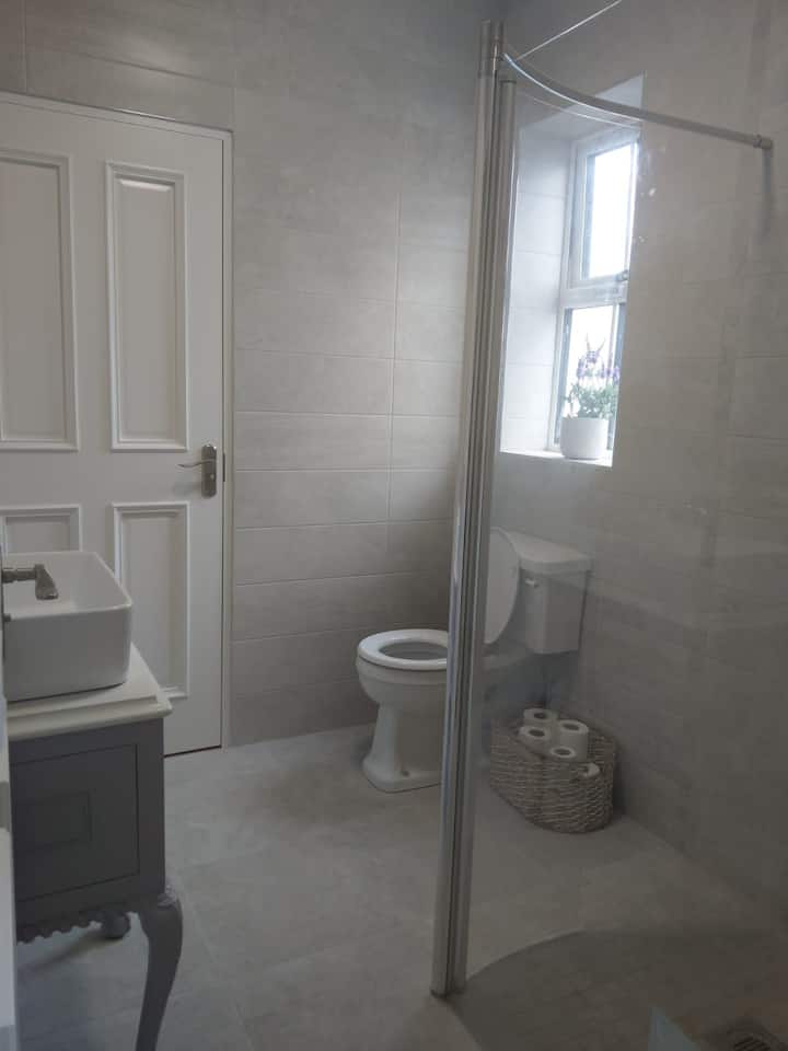 Lodge Near Vicarstown - Portarlington