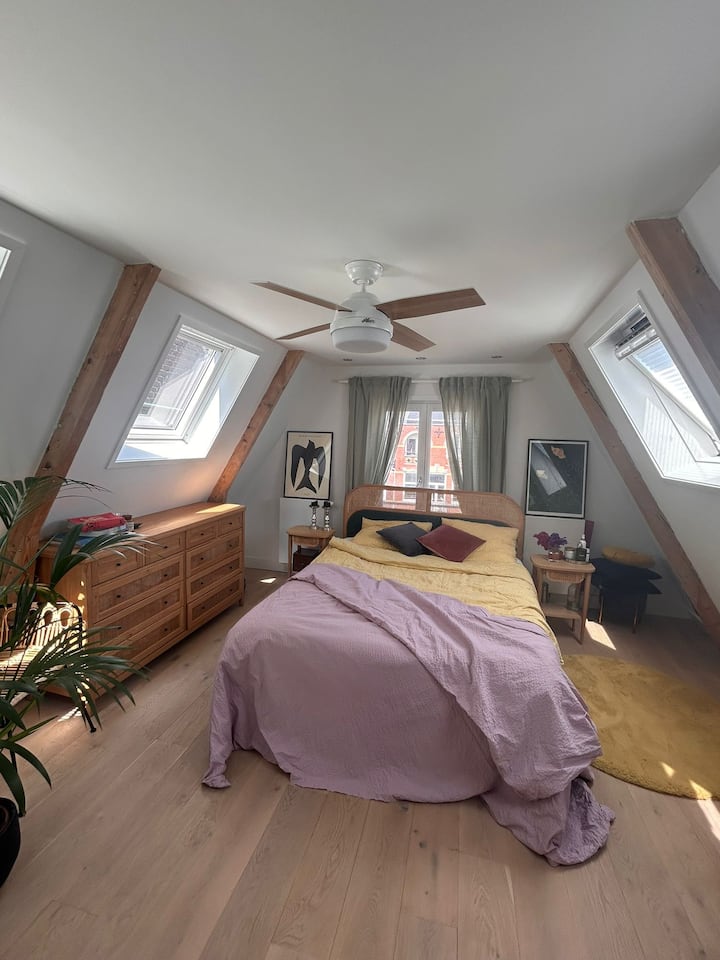 Vondelpark Rooftop Apartment - Amsterdam