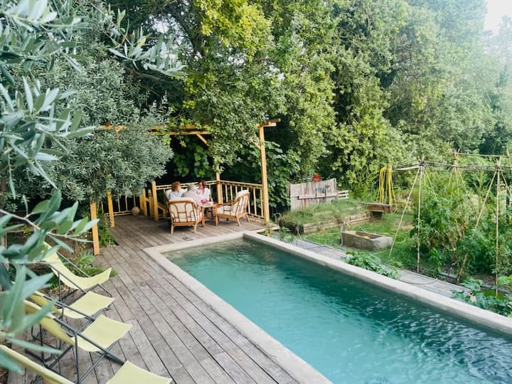 Cabane De La Leque-piscine-calme-nature-alpilles 1 - Les Baux-de-Provence