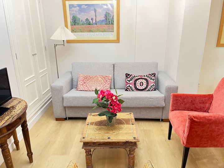 Apartamentos Rg Calle Santiago I - Seville