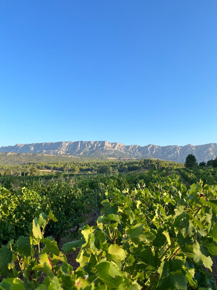 Chambre Au Calme Absolu - Rousset