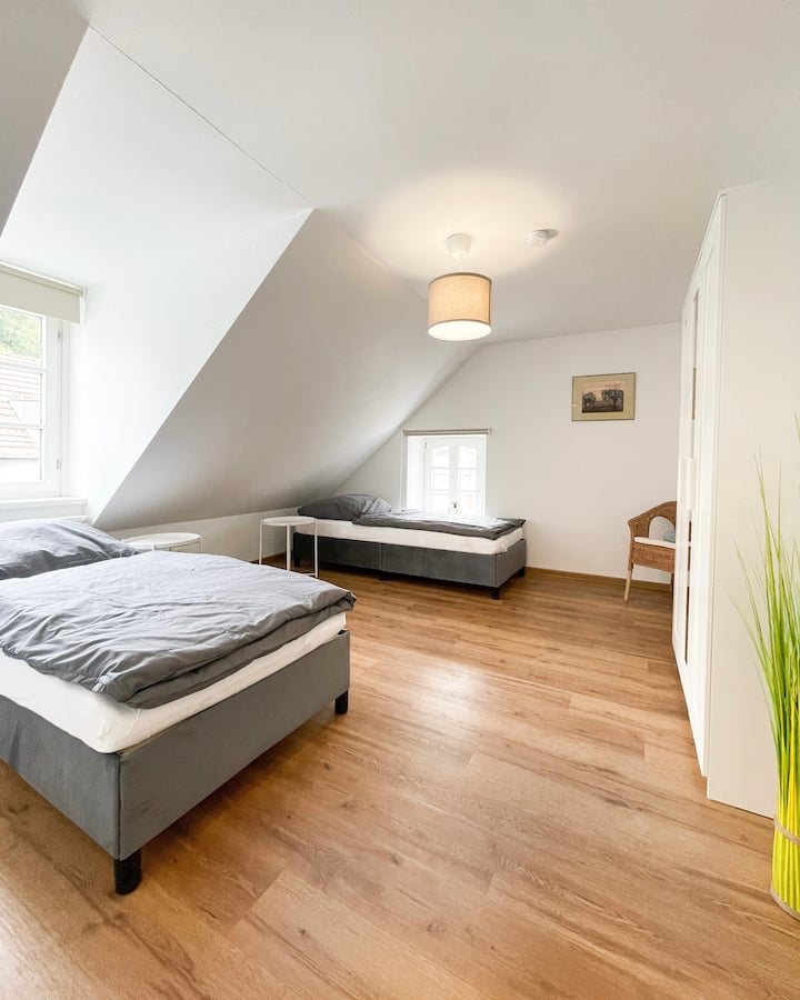 Appartement Spacieux Pour Travailleurs Et Voyageur - Eschweiler