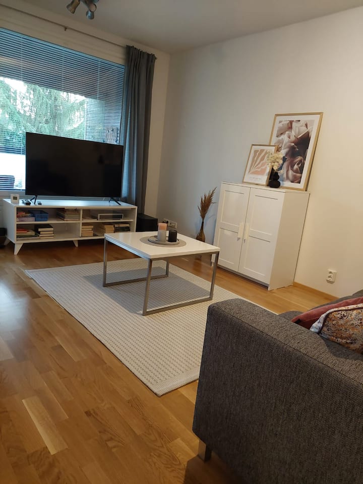 Siisti Saunallinen Kolmio - Oulu