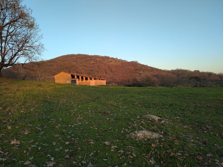Finca Extremeña: Vivir Y Negocio - Piornal