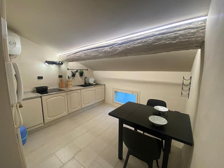 Little Loft On Modena Roofs - Modène