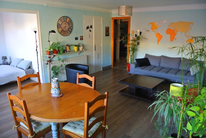 Appartement Traverssant Plein Centre. - Valence