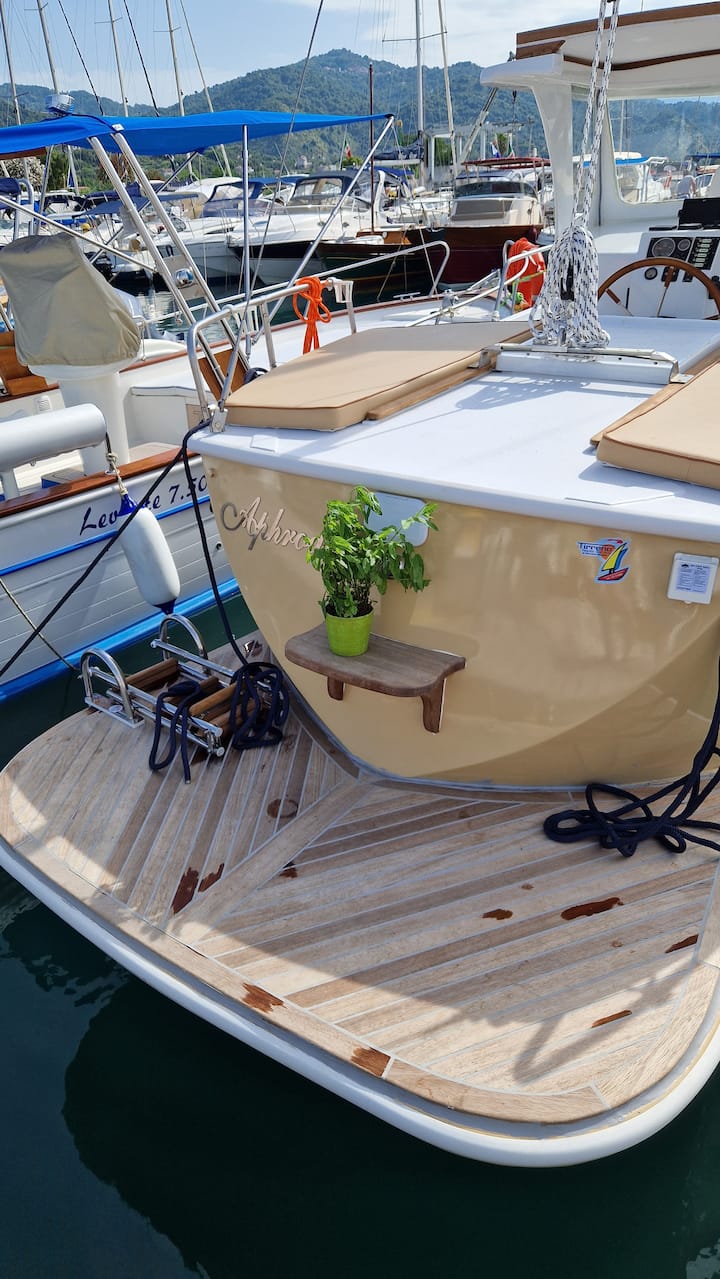 B&b Boat Dormire Sul Mare - Vibonati