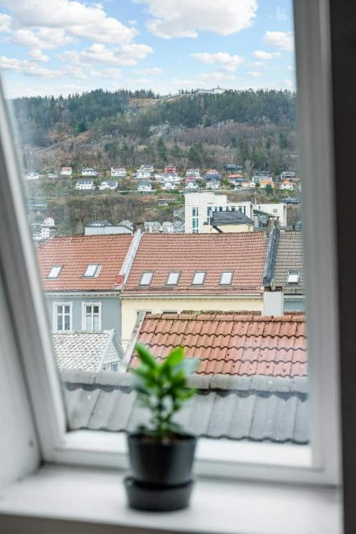 Central, Practical. Ls401 - Bergen, Noruega