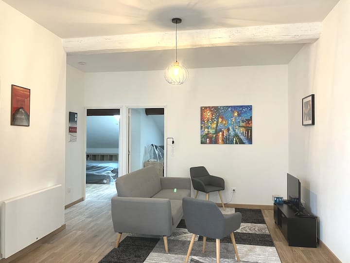 Hypercentre Chambre 15m2 Dans T4 - Saint-Étienne