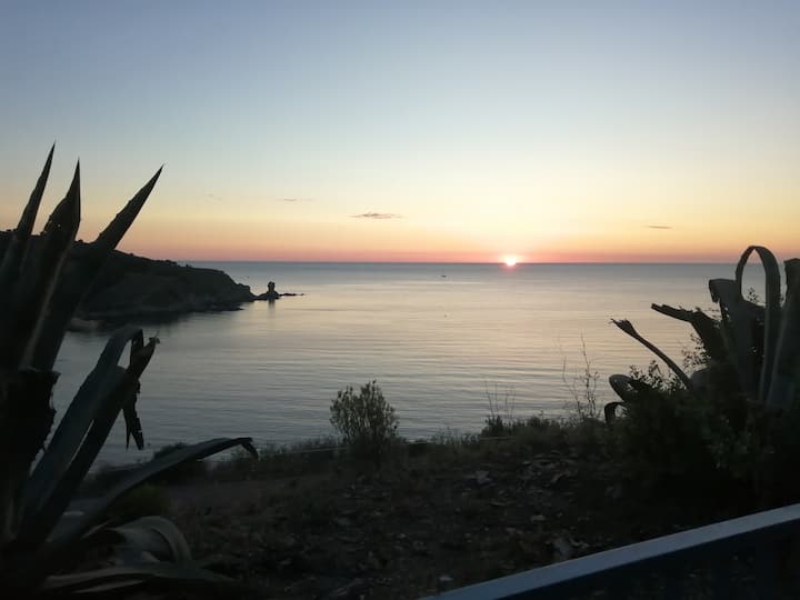 A Quelques Mètres Des Plages - Collioure