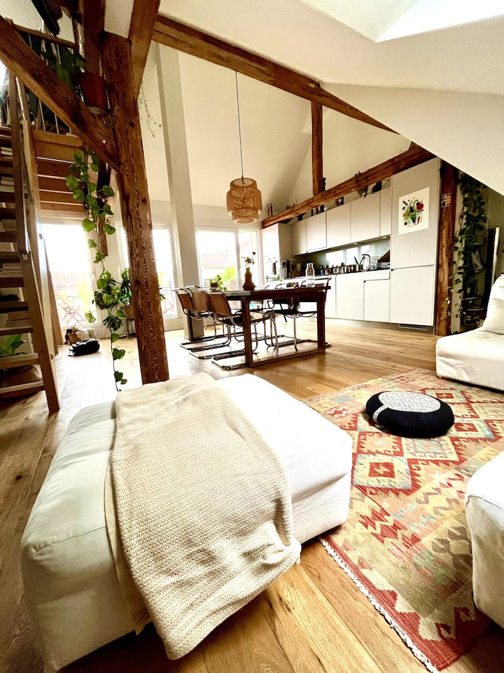 Beautiful Central Terraced Attic - Zurich