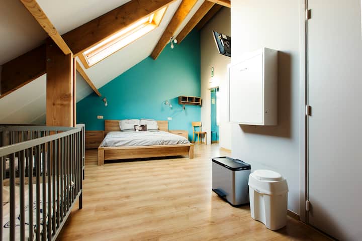 Gezinskamer Vlaams Kuddeschaap - Ronse