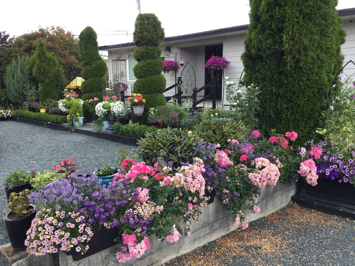 The Bent Tree - Parksville